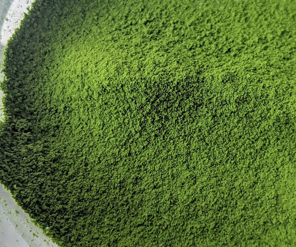 how to make matcha tea not bitter